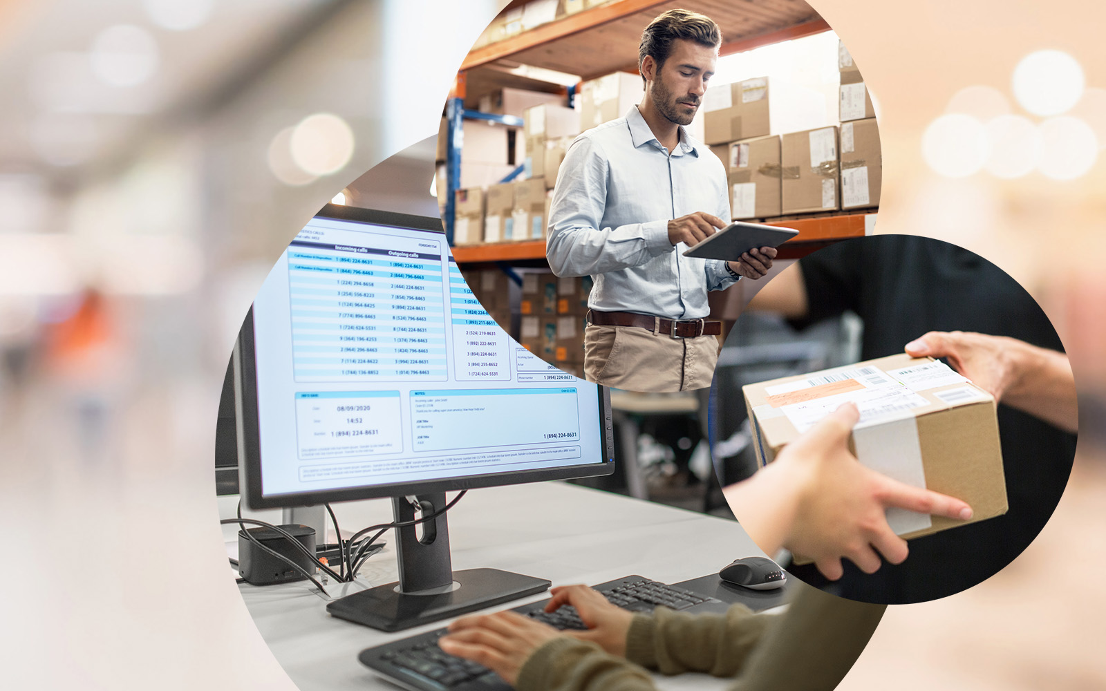 Wholesale distribution with qualified SAP solution