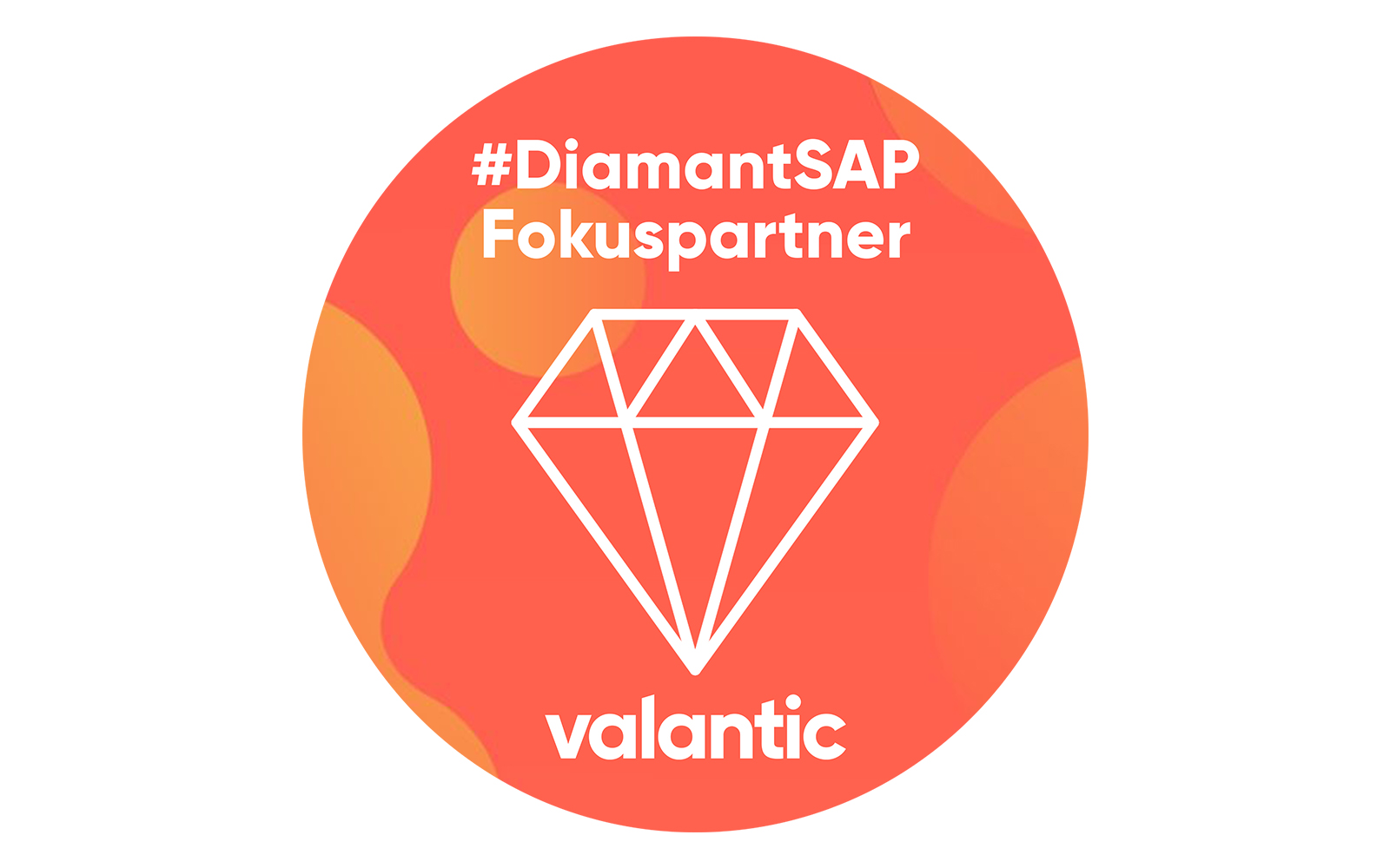 Sap Global Partner Logo