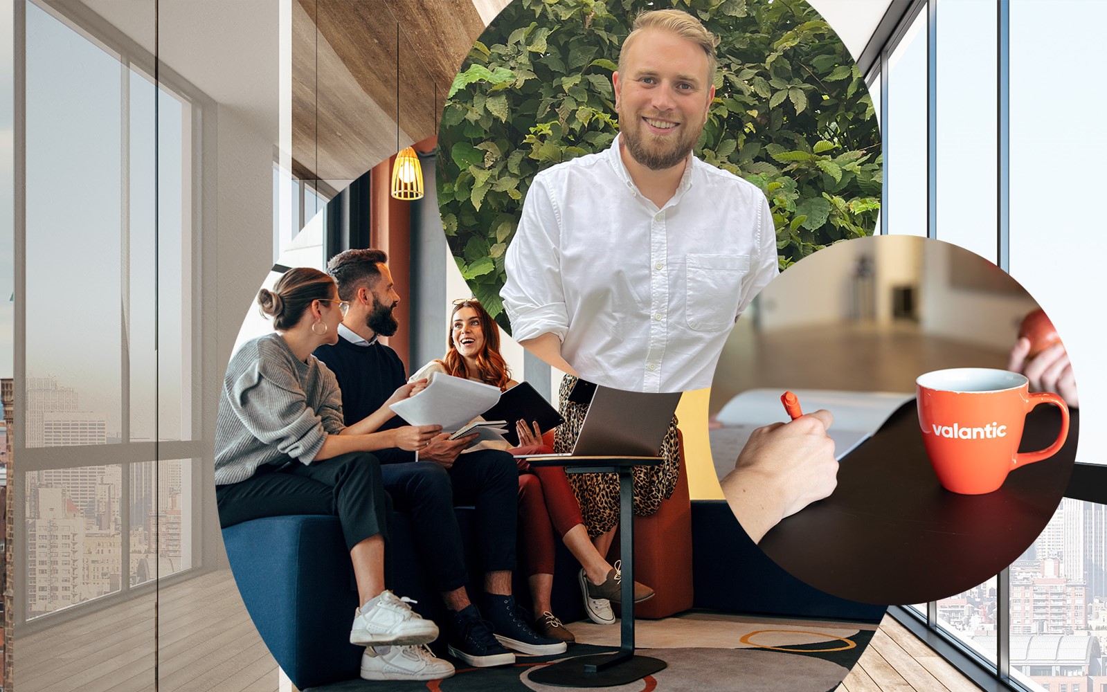 From physicist to SAP talent – Felix's successful IT career