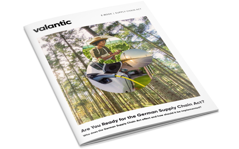 Implementation of the German Supply Chain Act - valantic