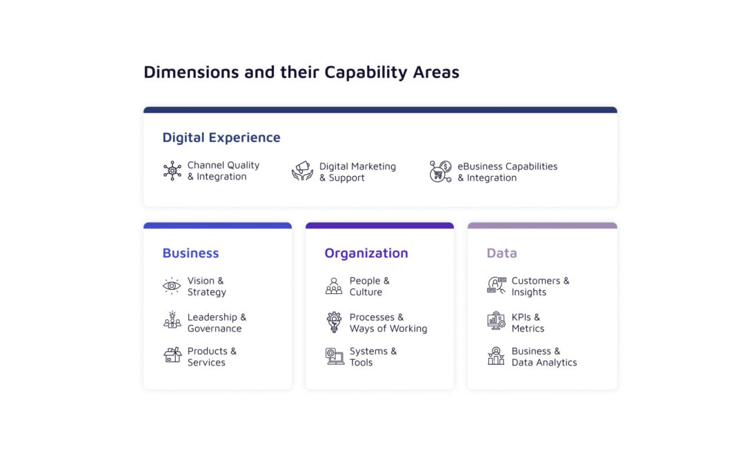 Customer Experience (CX) Maturity Assessment: die Details