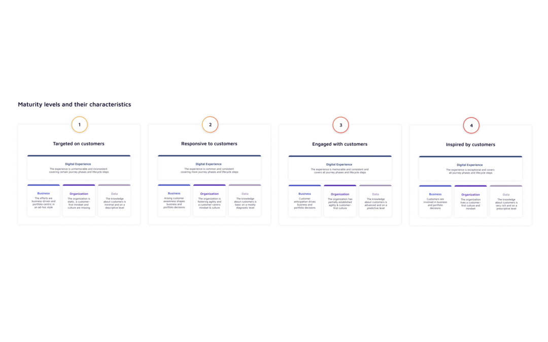 Customer Experience (CX) Maturity Assessment: die Details