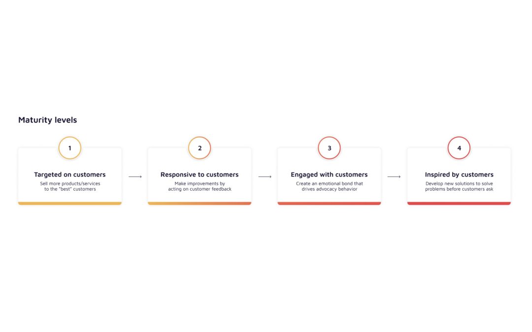 Customer Experience (CX) Maturity Assessment: die Details
