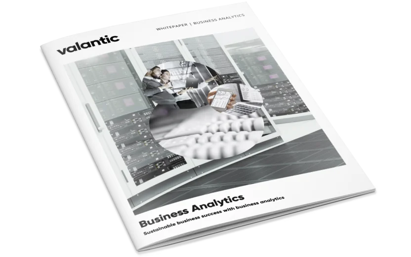 Business Analytics Consulting