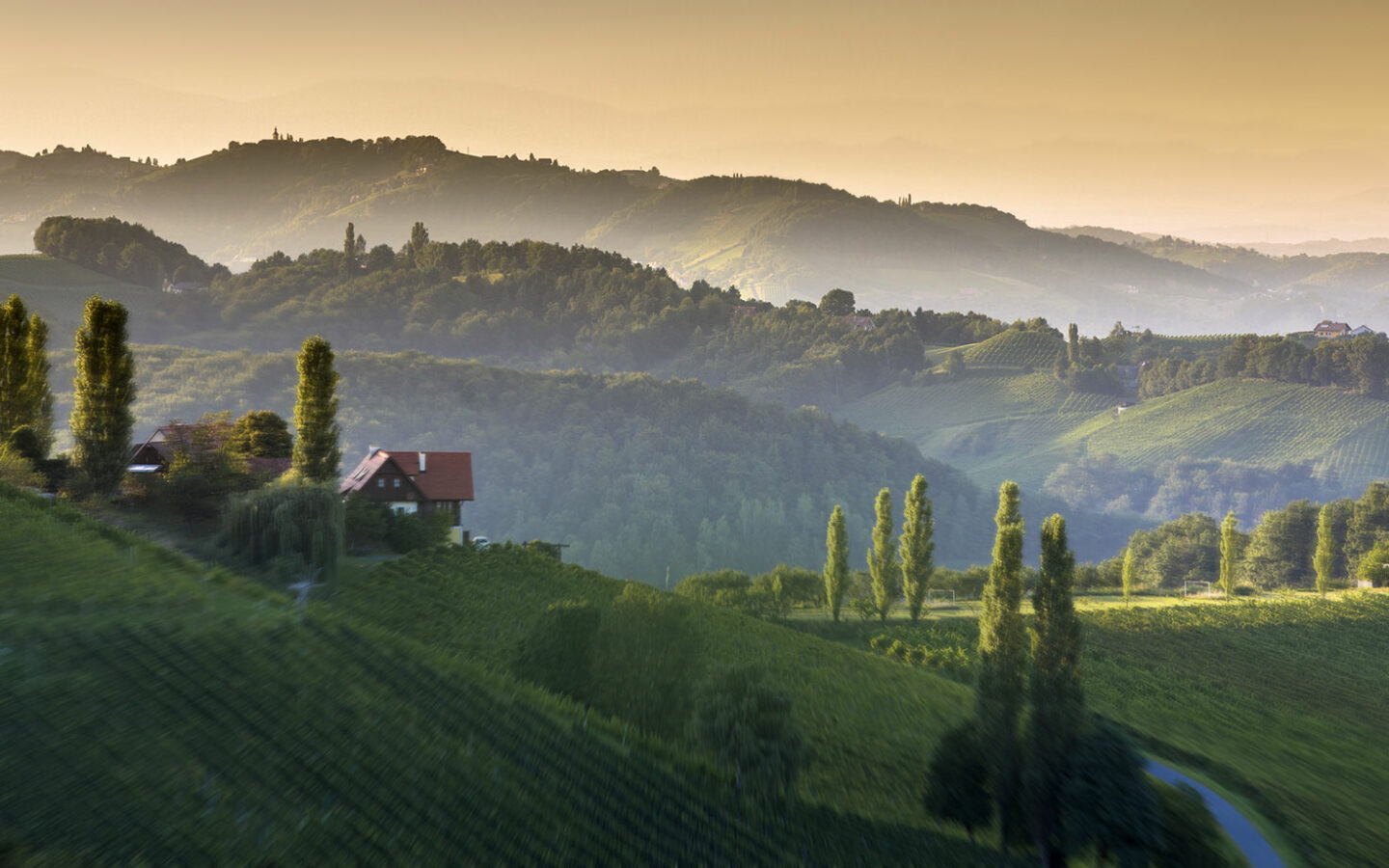 New website for Styria and its holiday regions