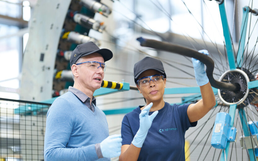 SAP MDC Master Data Management